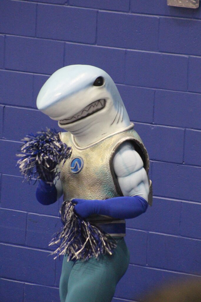 Champions in the Classroom, NSU Sharks Deliver Another Record-Setting ...